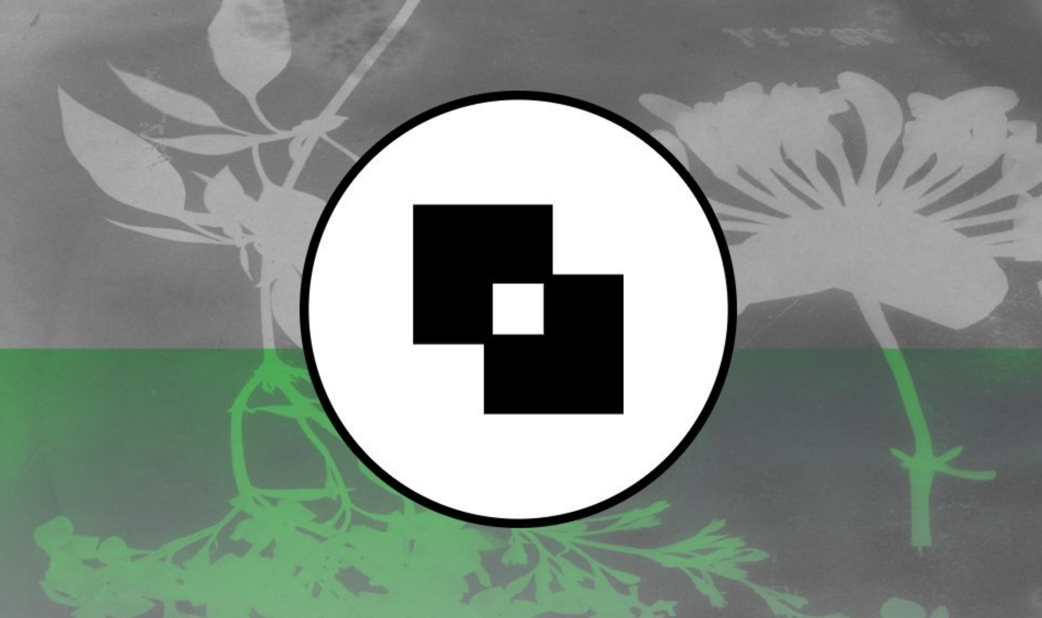 PGN Network Olası Airdrop Rehberi - Ninja News