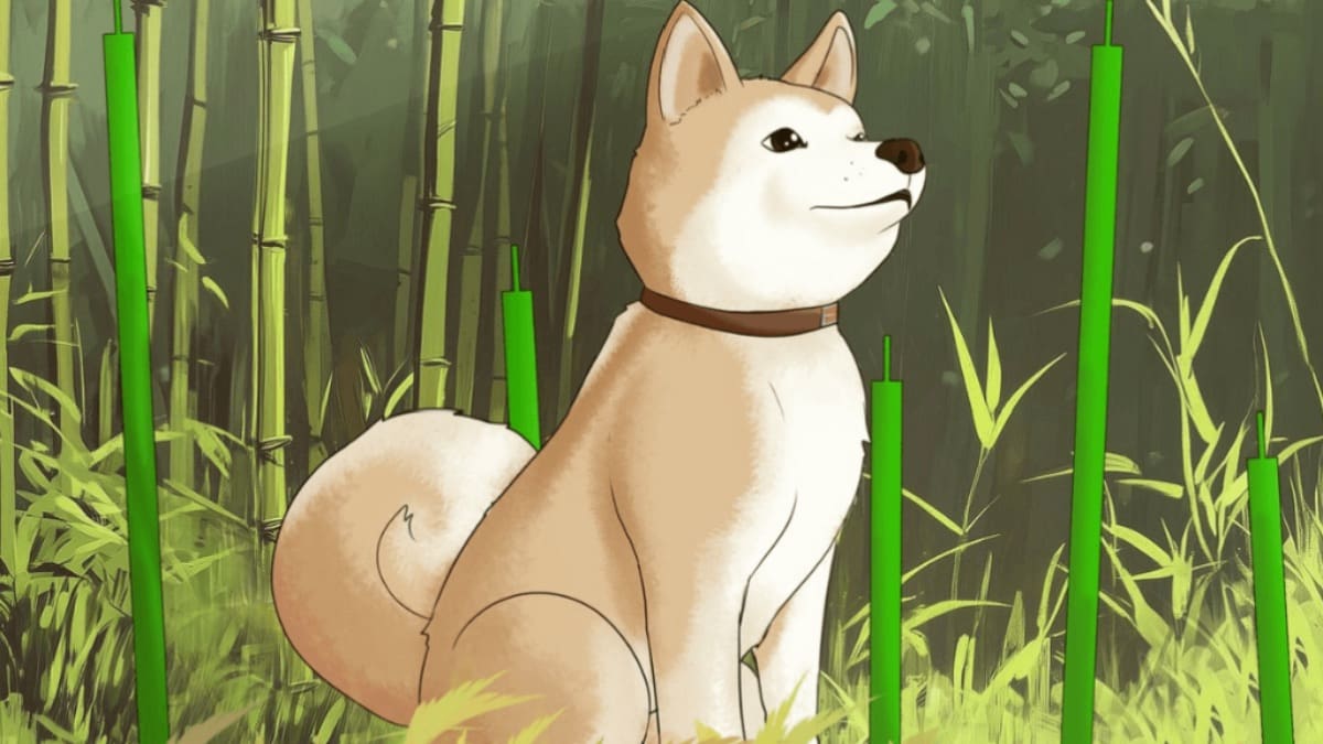 NEIRO Nedir? Nasıl Alınır? Geleceği, Künyesi, Satın Almadan Önce ...