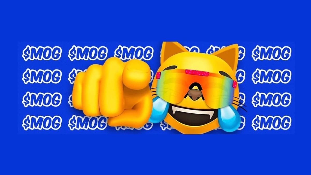 MOG Nedir? Nasıl Alınır? Geleceği, Künyesi, Satın Almadan Önce ...