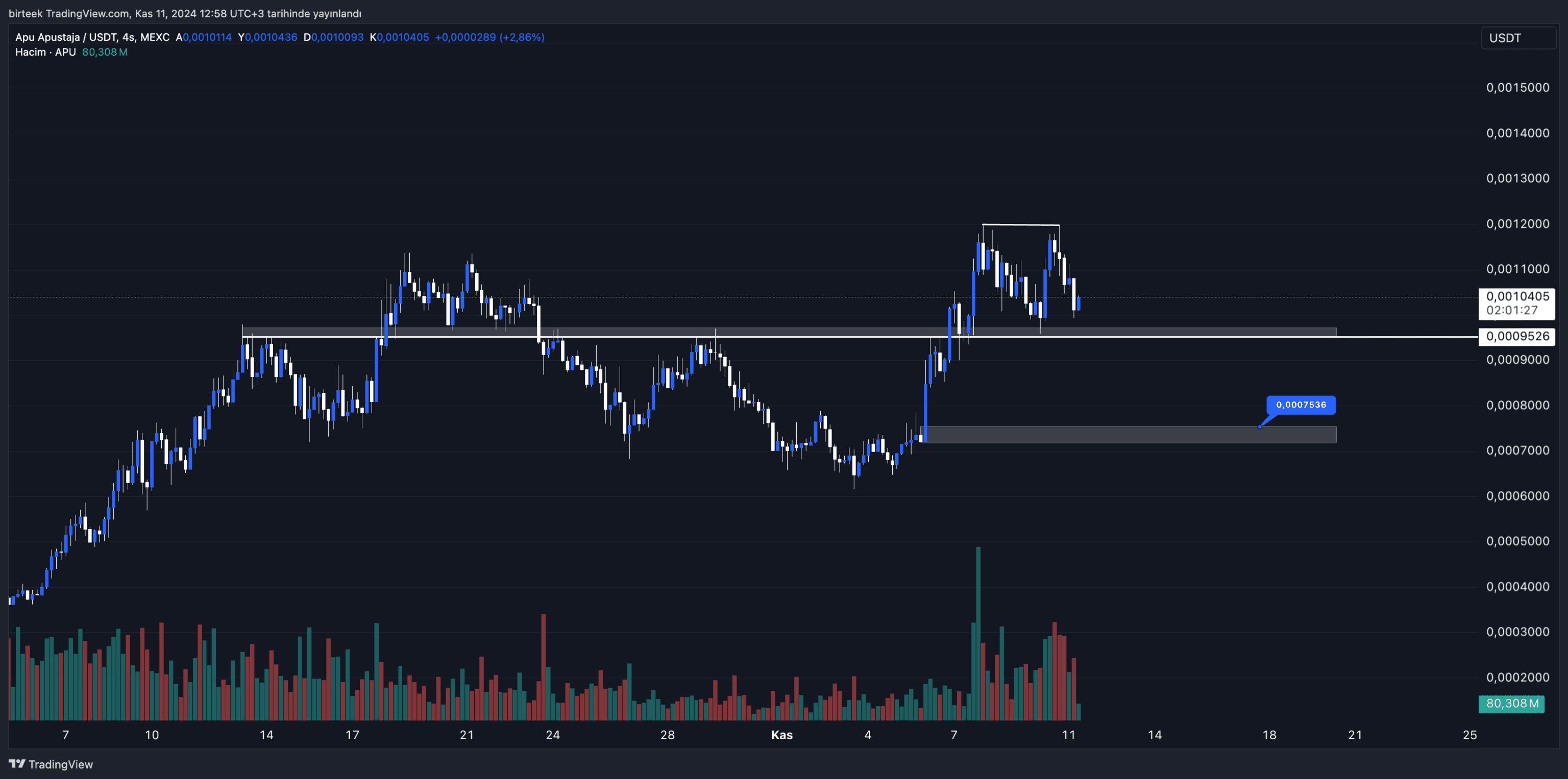 APU Coin Yorum ve Fiyat Analizi 11.11.2024 - Ninja News