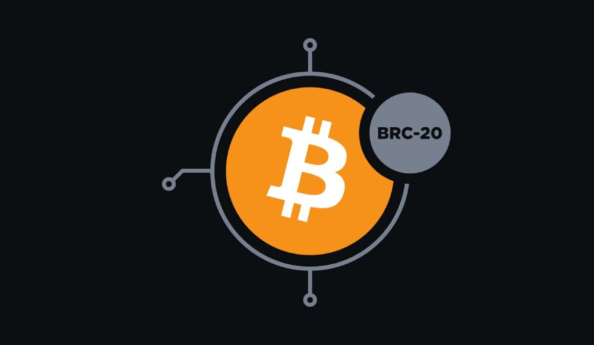 BRC-20 Nedir? Bitcoin Tabanlı Token Standardı Hakkında Bilmeniz Gereken ...