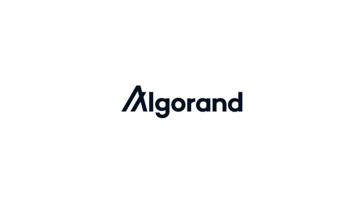 Algorand (ALGO) Nasıl Alınır? - Ninja News
