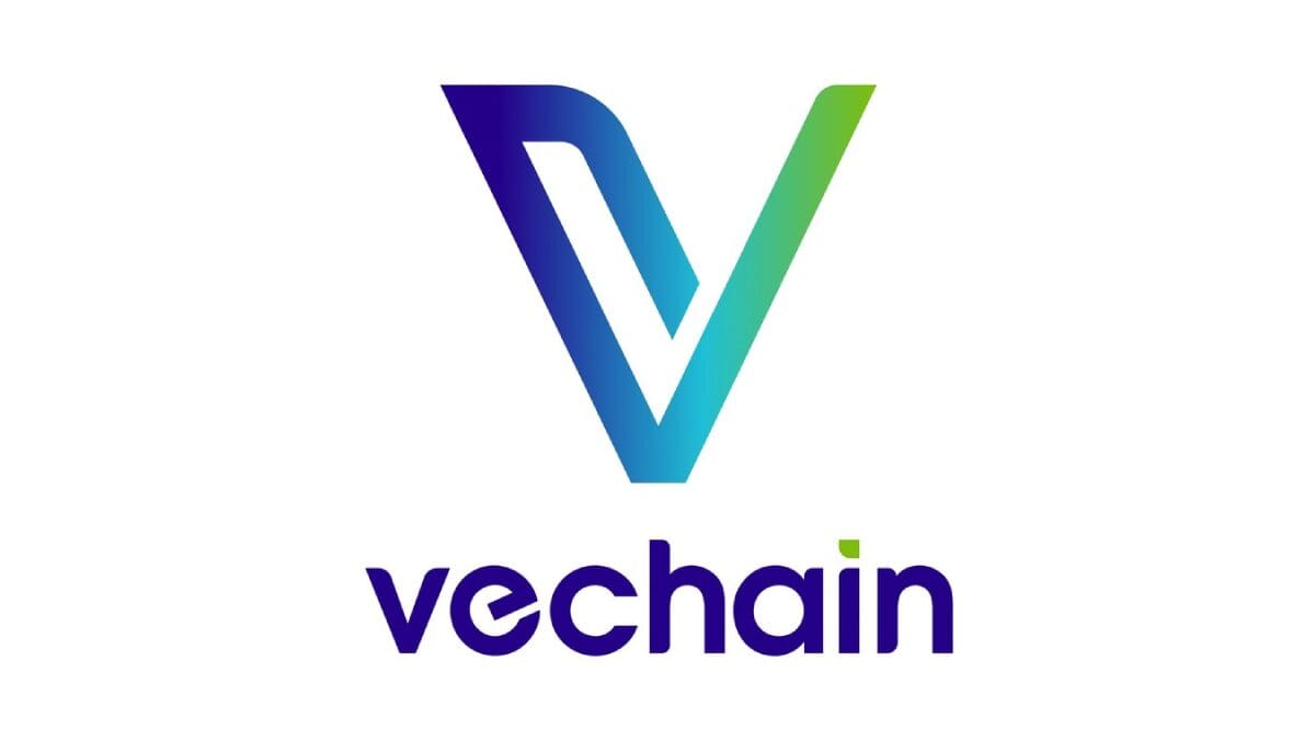 VeChain (VET) Coin Nasıl Alınır? - Ninja News